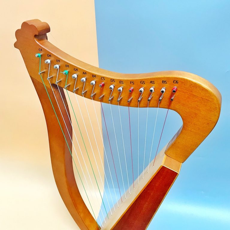 Đại Lý Phân Phối Nhạc Cụ Chính Hãng Tại Hà Nội - Harpstore Music